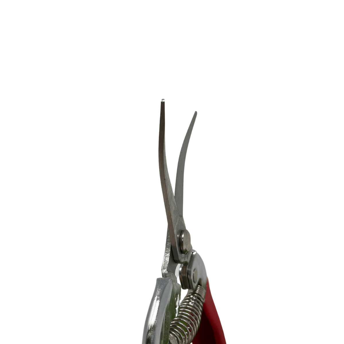 Stainless Steel Long Curved Snips - Corona AG4940SS - 1.75" Blade ...